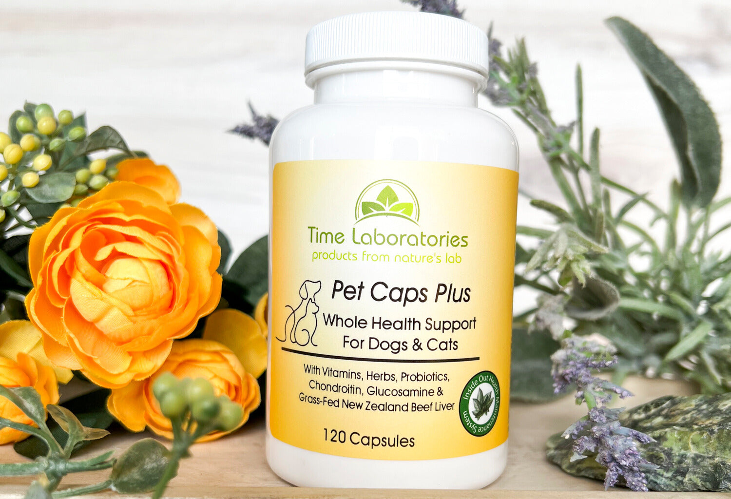 Time Laboratories – Time Labs Store