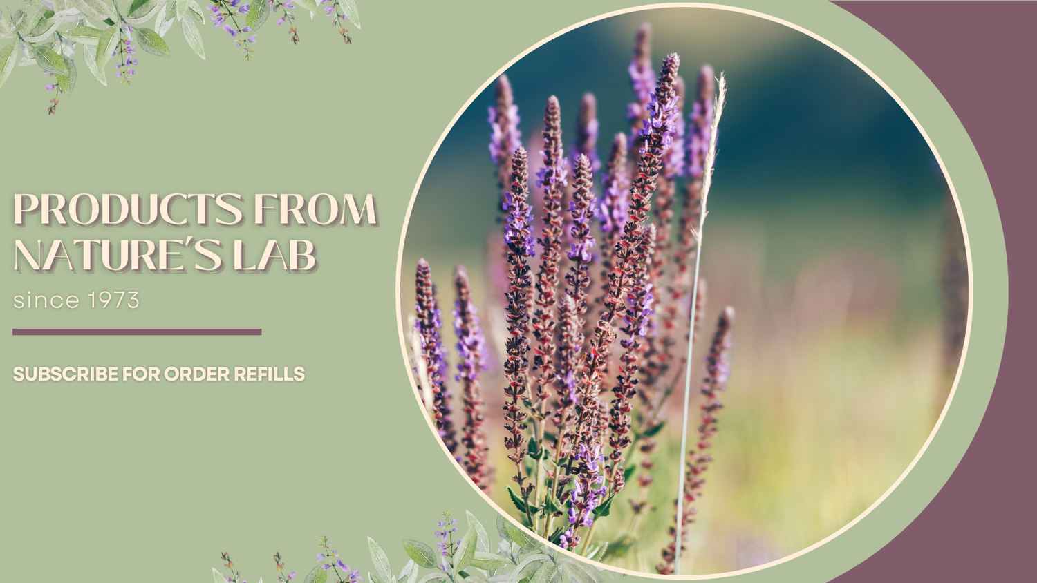 Time Laboratories – Time Labs Store