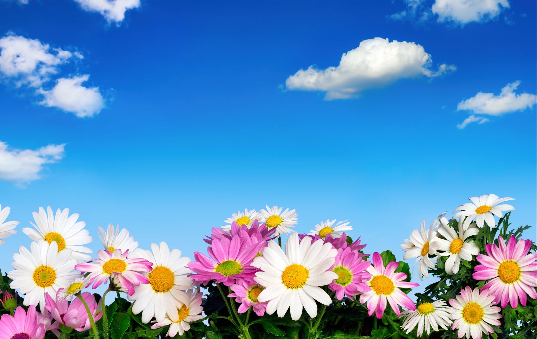 Time Laboratories – Time Labs Store